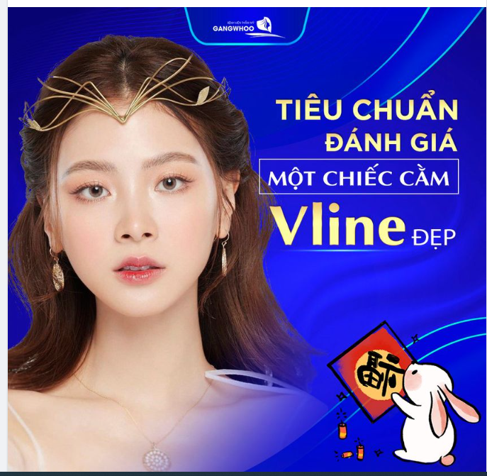 NHƯ THẾ NÀO LÀ CHIẾC CẰM VLINE ĐẸP?